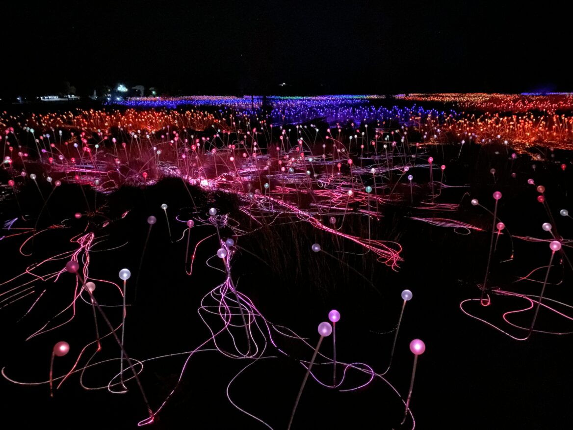 Uluru After Dark: The Field of Light Experience lights up the desert ...
