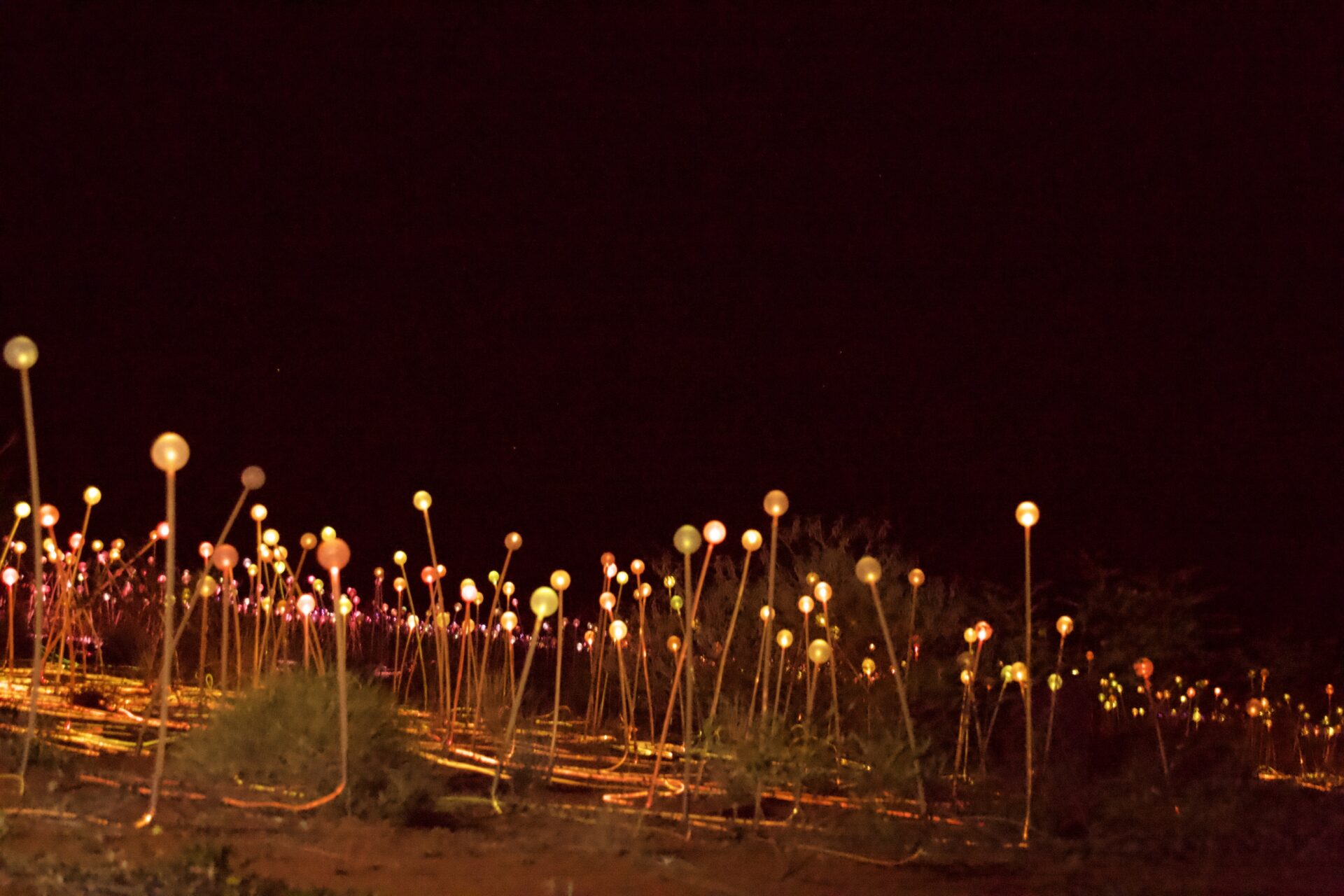 Uluru After Dark: The Field of Light Experience lights up the desert ...