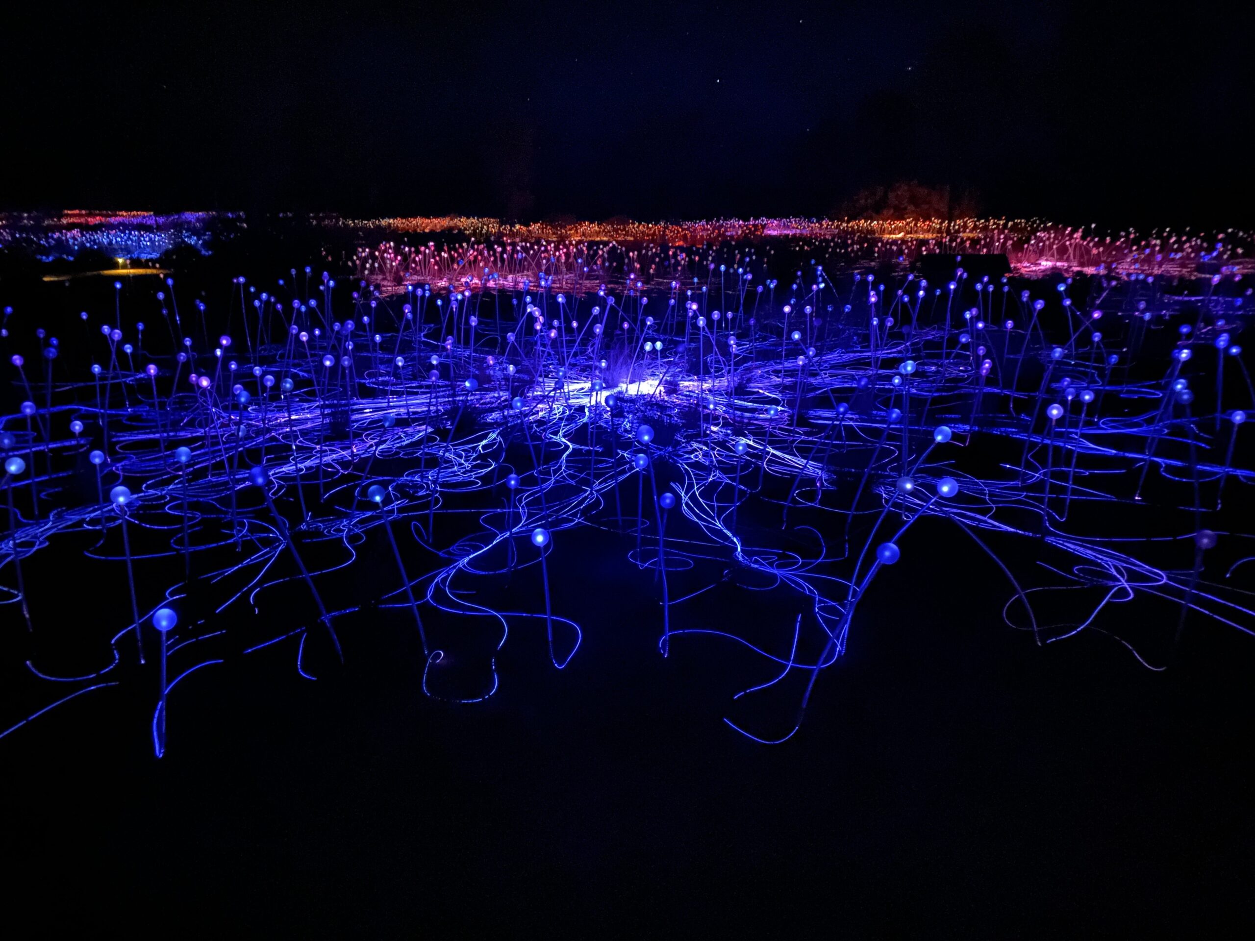 Uluru After Dark: The Field of Light Experience lights up the desert ...
